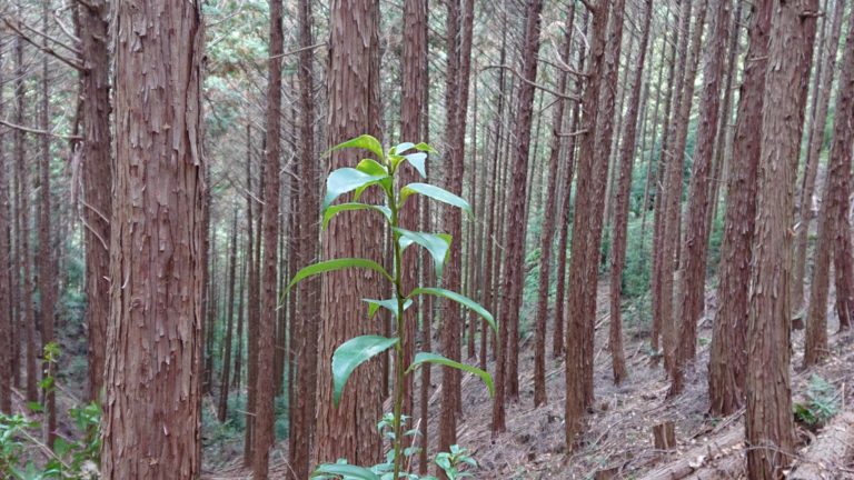 20190106_140029 | Hunting-Laboratory